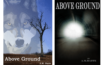 Book Cover Design: Dos and Don’ts | A.M. Harte